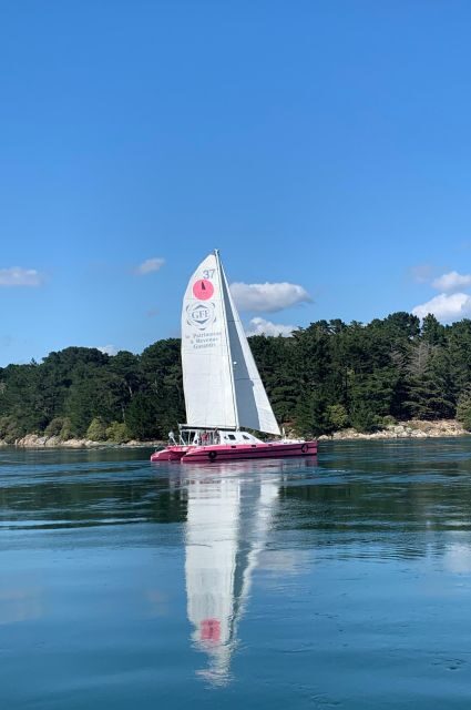 From Concarneau or Port la Forêt: Evening 2 hours navigation - Who Is This Tour Best For?