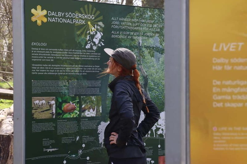 From Copenhagen: Lund and Dalby guided hike in national park - A Traditional Scanian Lunch at Dalby Gästis