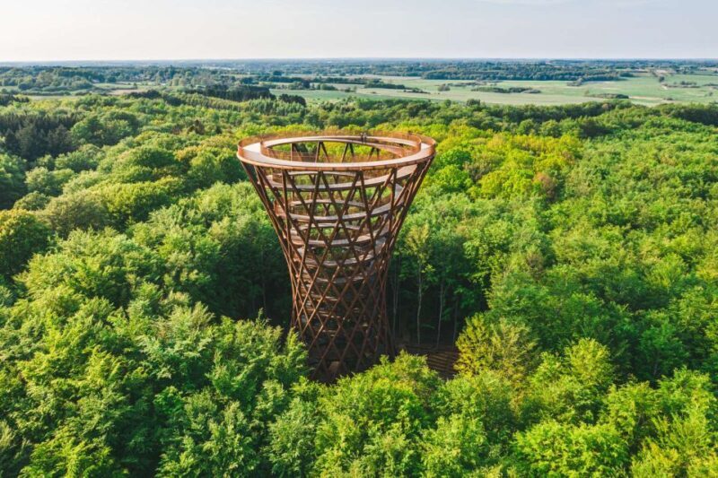 From Copenhagen: Round-Trip to Møns Klint and Forest Tower - Frequently Asked Questions