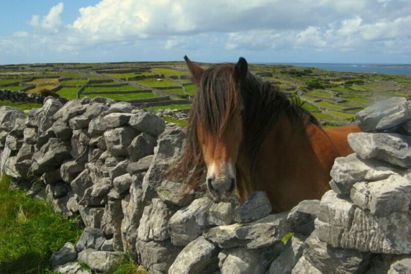 From Cork: 9-Hour Guided Ring of Kerry and Killarney Tour - Exploring Ireland’s Stunning Kerry with a Guided Tour from Cork