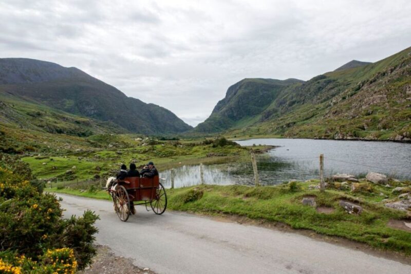 From Cork: 9-Hour Guided Ring of Kerry and Killarney Tour - Real Travelers’ Perspectives