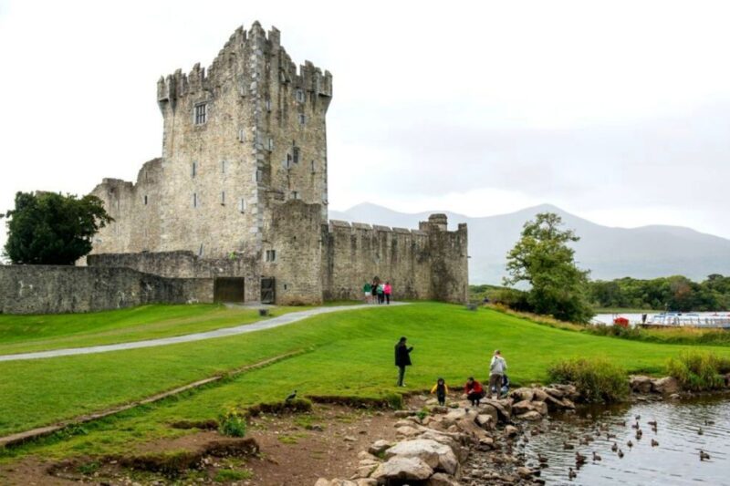 From Cork: 9-Hour Guided Ring of Kerry and Killarney Tour - The Value of This Tour