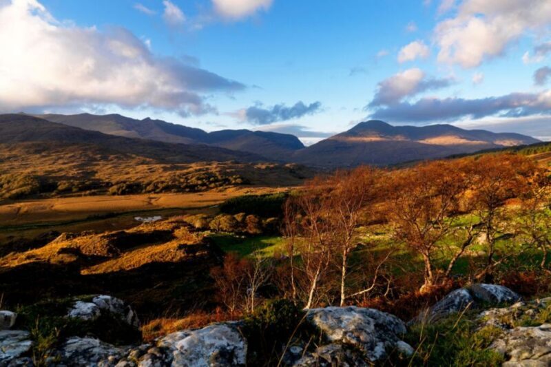 From Cork: 9-Hour Guided Ring of Kerry and Killarney Tour - Who Should Consider this Tour?