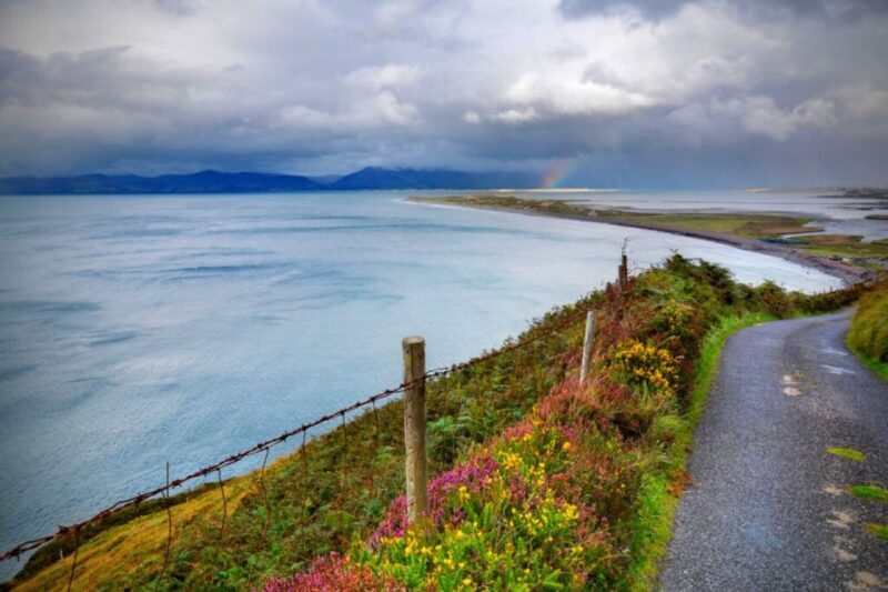 From Cork: 9-Hour Guided Ring of Kerry and Killarney Tour - Final Words