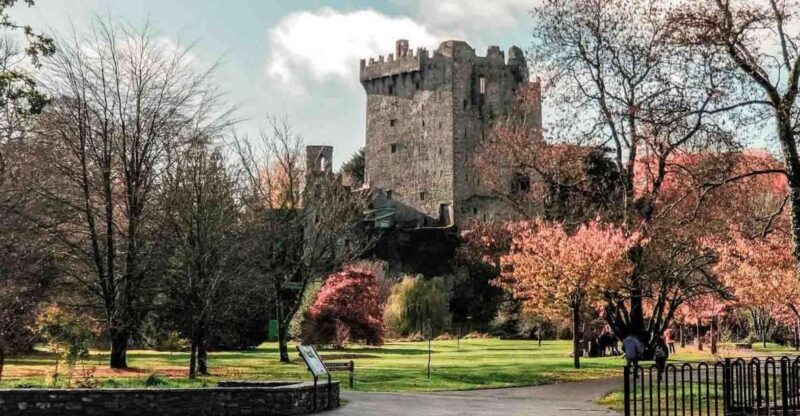 From Cork: County Cork Highlights Tour with Entrance Tickets - Who Will Love This Tour?