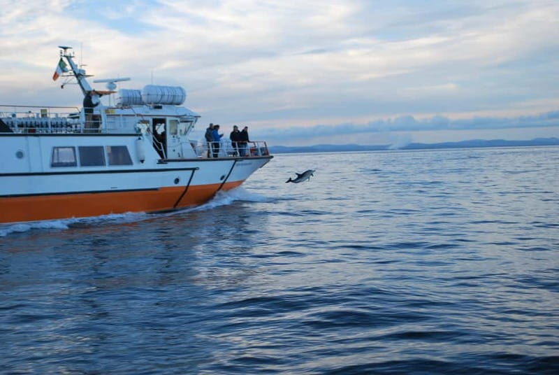 From Cork: Fastnet Rock Lighthouse & Cape Clear Island Tour - Key Points