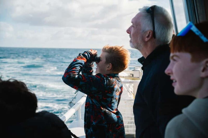 From Cork: Fastnet Rock Lighthouse & Cape Clear Island Tour - The Experience in Detail
