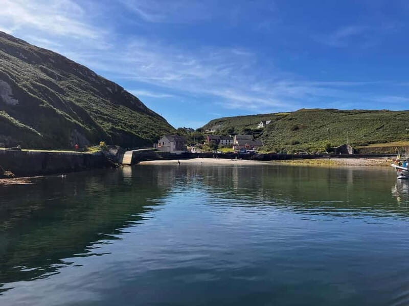 From Cork: Fastnet Rock Lighthouse & Cape Clear Island Tour - Who Should Consider This Tour?