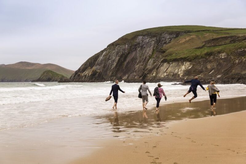 From Cork: Full-Day Guided Tour to Dingle Peninsula - The Sum Up