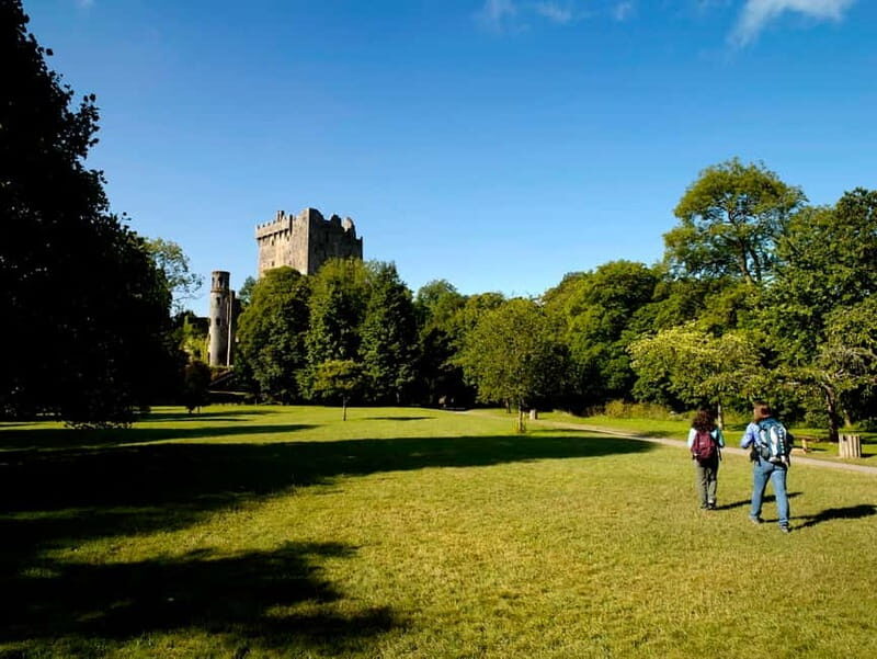 From Cork: Guided Shared Shore Excursion - Key Points
