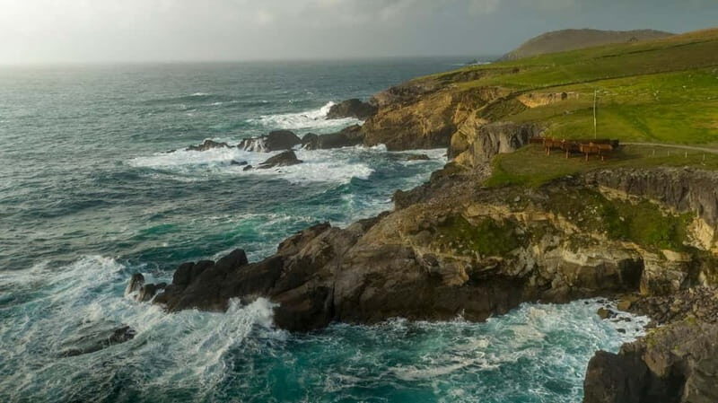 From Cork: Ring of Kerry & Killarney Guided Full Day Tour - Exploring the Ring of Kerry & Killarney: An Honest Review of a Full-Day Guided Tour from Cork