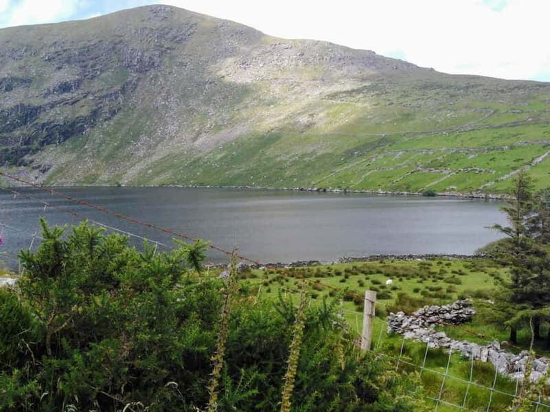 From Cork: Ring of Kerry & Killarney Guided Full Day Tour - Pricing and Value