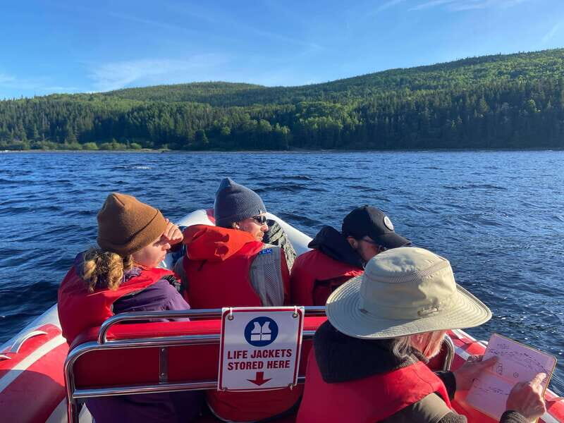 From Corner Brook : Bay Of Islands Island Zodiac Boat Tour - Who Is This Tour Best For?