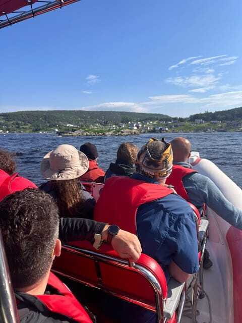From Corner Brook : Bay Of Islands Island Zodiac Boat Tour - The Sum Up
