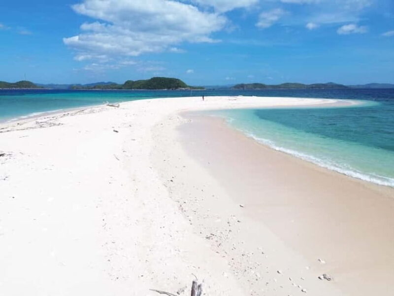 From Coron: Explore Busuanga Beach Escapade - Discovering Palawan’s Hidden Beaches and Marine Wonders