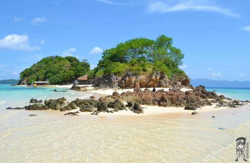 From Coron: Private Island-Hopping Cruise with Lunch - Who Will Love This Tour?