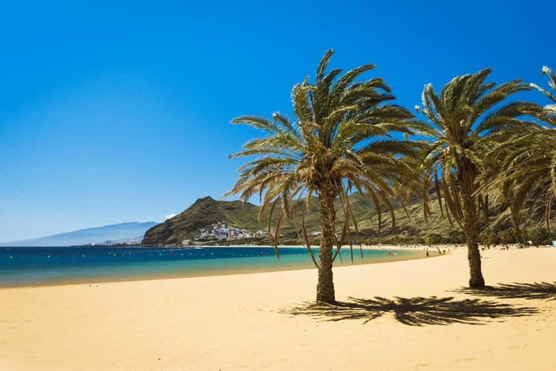 From Costa Adeje or Santa Cruz: Contrasts of Tenerife Tour - Key Points