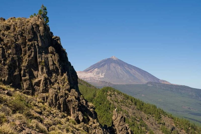 From Costa Adeje or Santa Cruz: Contrasts of Tenerife Tour - The Sum Up