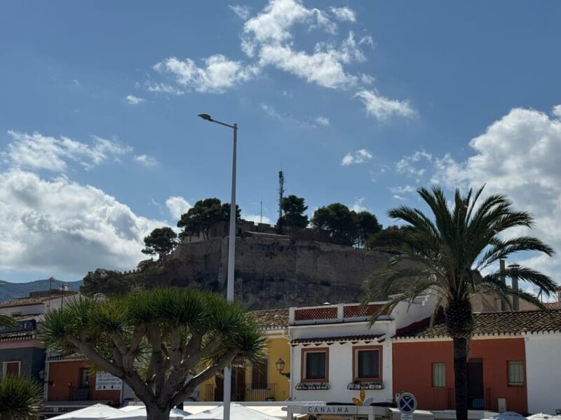 From Costa Blanca: Denia and Mediterranean Gardens Day Trip - Who Will Love This Tour?