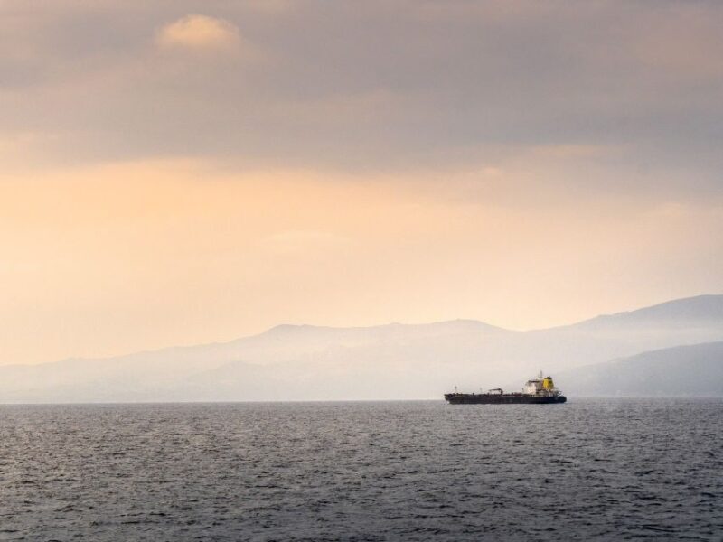 From Costa del Sol: Day Trip to Gibraltar with Guided Tour - First Stop: Gibraltar Nature Reserve and Rock Highlights