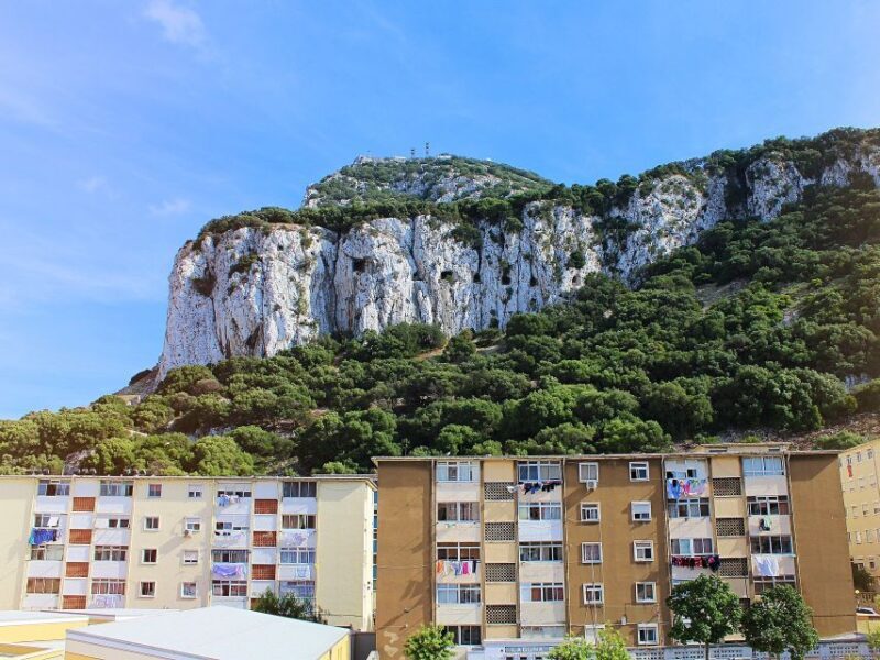 From Costa del Sol: Day Trip to Gibraltar with Guided Tour - Why This Tour Offers Value
