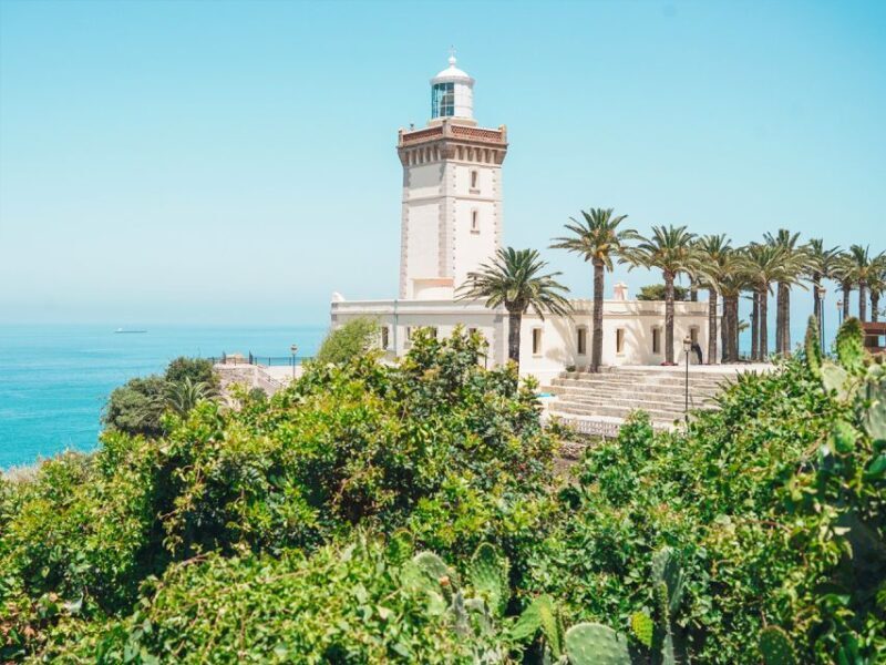 From Costa del Sol: Discover Tangier on a Guided Day Trip - A Closer Look at the Experience