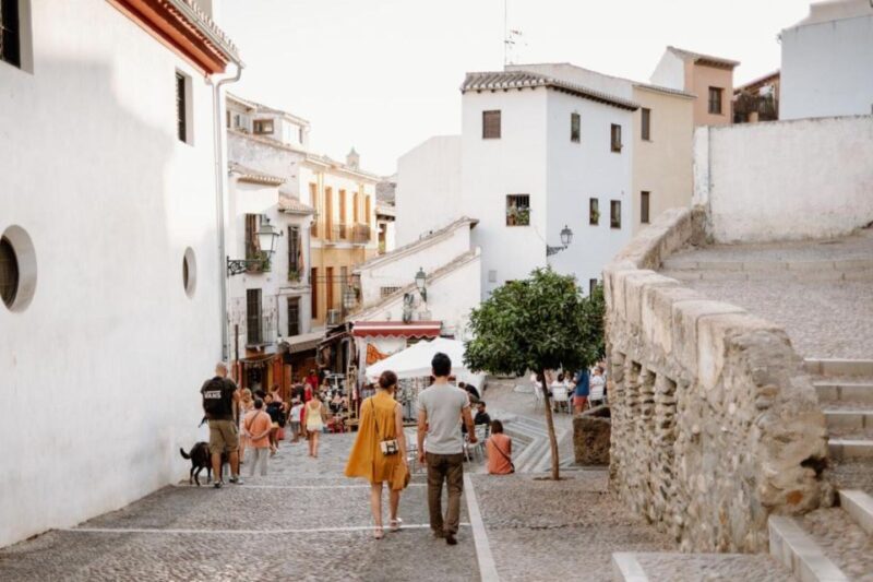 From Costa del Sol: Granada Day Trip Free Time 5h - Who Should Consider This Tour?
