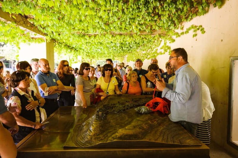 From Costa del Sol: Granada Full-Day Tour - Key Points