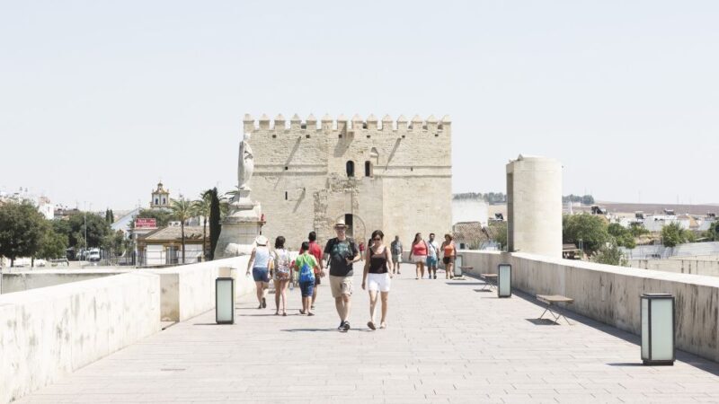 From Costa del Sol & Malaga: Cordoba Guided Day Tour - An In-Depth Look at the Experience