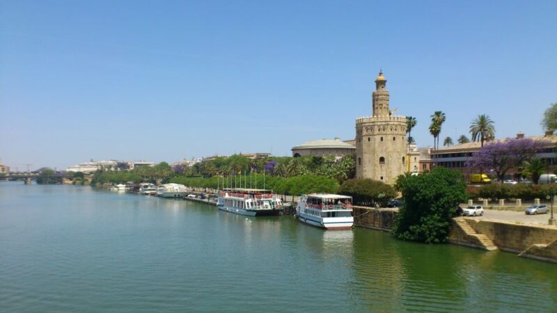 From Costa del Sol & Malaga: Seville Day Trip - Who Will Love This Tour?