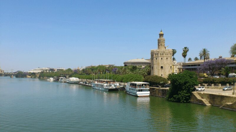 From Costa del Sol & Malaga: Seville Day Trip - Final Thoughts