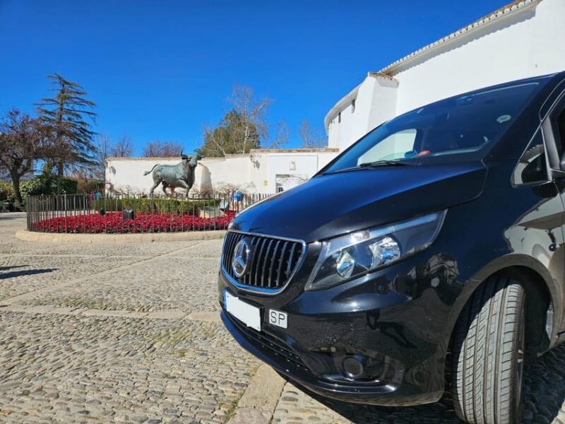 From Costa del Sol: Private Ronda Tour - Who Should Consider This Tour?