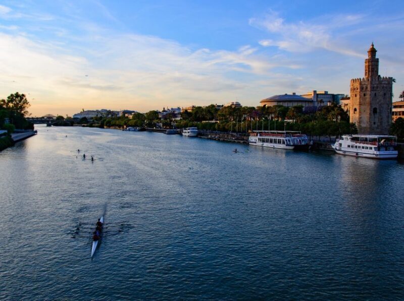 From Costa del Sol: Seville Day Trip - Who Should Consider This Tour?