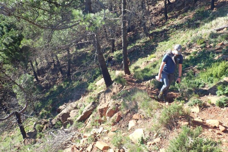 From Costa del Sol: Sierra Bermeja Private Hiking Tour - An Overview of the Experience