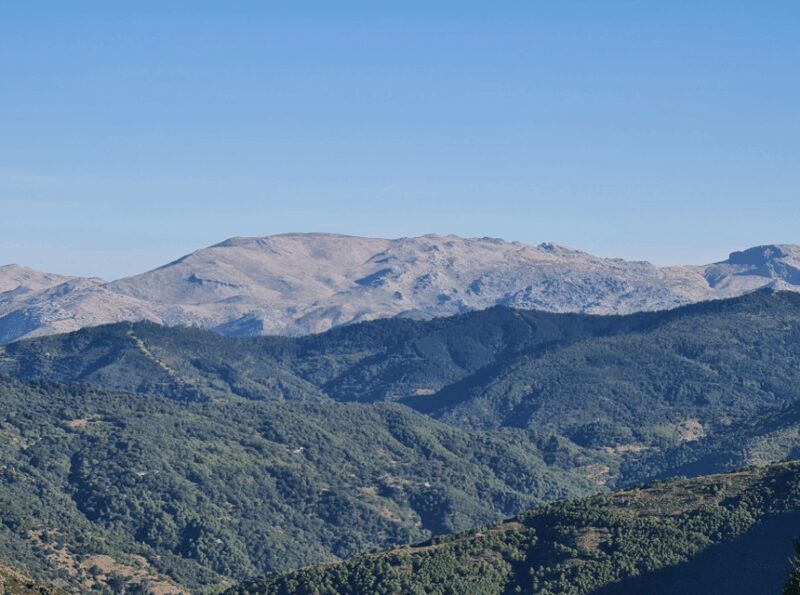 From Costa del Sol: Sierra Bermeja Private Hiking Tour - Pricing and Value