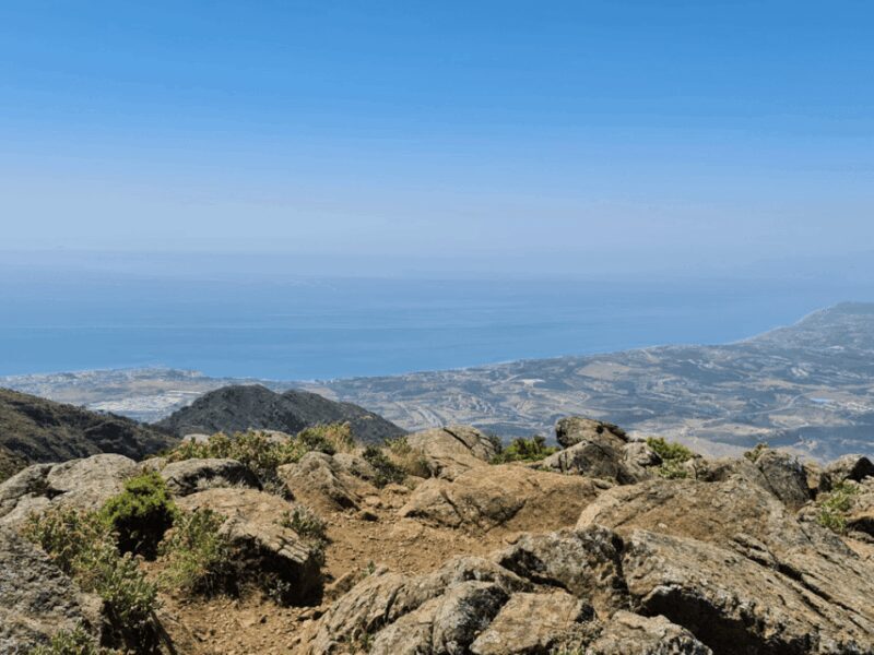 From Costa del Sol: Sierra Bermeja Private Hiking Tour - Who Is This Tour For?