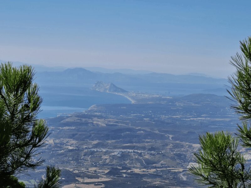 From Costa del Sol: Sierra Bermeja Private Hiking Tour - The Sum Up