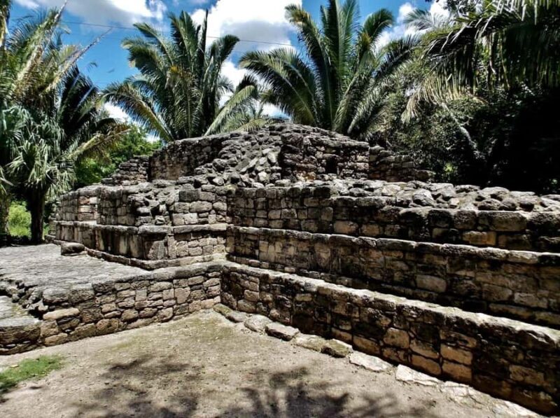 From Costa maya : mayan ruins and stop at the fruit market . - The Market and Fruit Tasting