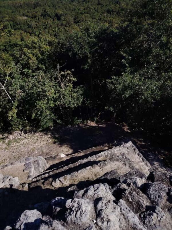 From Costa maya : mayan ruins and stop at the fruit market . - Final Thoughts: Who Will Love This Tour?