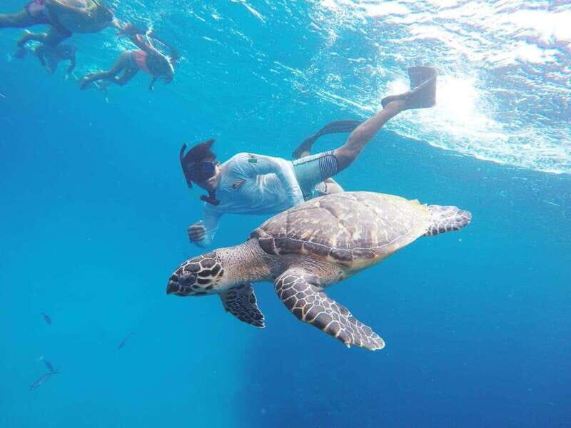 From Cozumel: 3 Reefs Boat Tour with Drinks and Snorkeling - An In-Depth Look at the Tour Experience