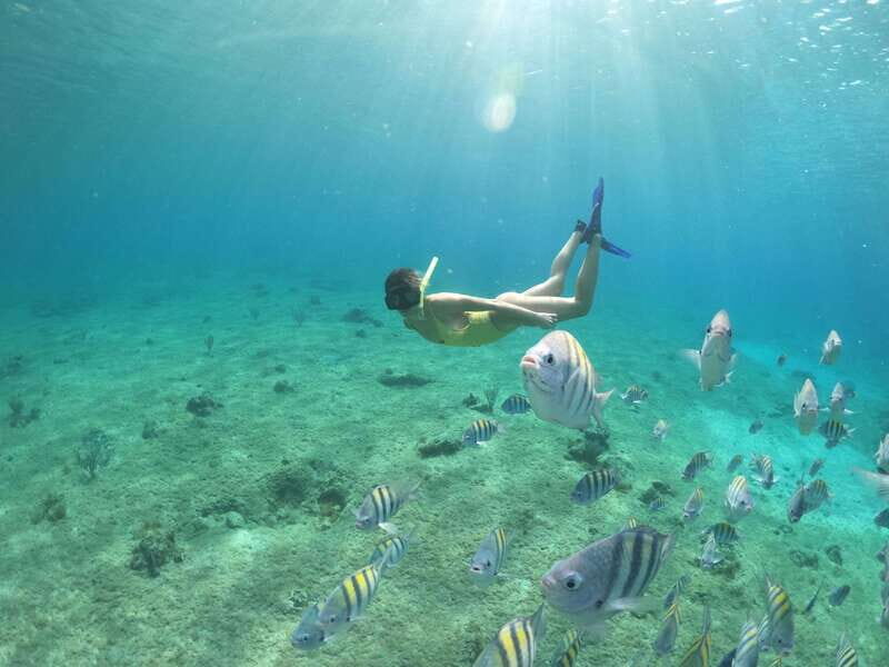 From Cozumel: 3 Reefs Boat Tour with Drinks and Snorkeling - Wrapping It Up