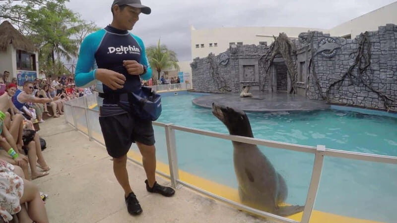From Cozumel: Chankanaab Park Day pass with Open Bar & Lunch - Key Points