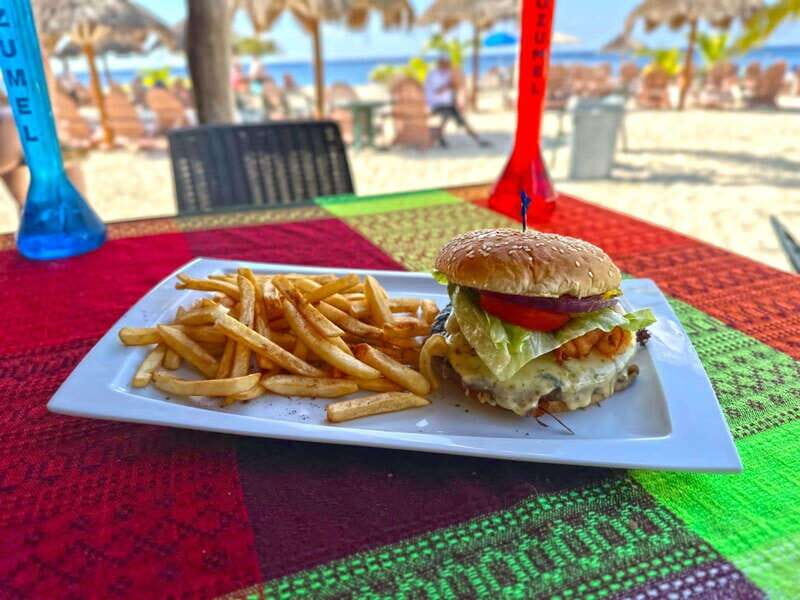 From Cozumel: Chankanaab Park Day pass with Open Bar & Lunch - Final Thoughts on Value and Experience