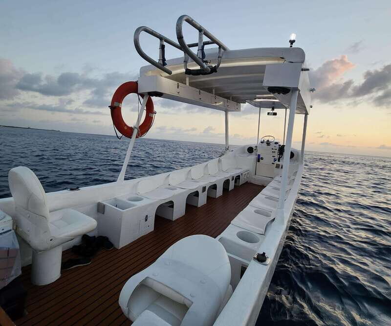 From Cozumel: Double Tank Scuba Diving for Certified Divers - Key Points