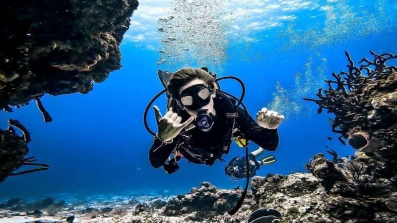 From Cozumel: Double Tank Scuba Diving for Certified Divers - The review data: Authentic perspectives