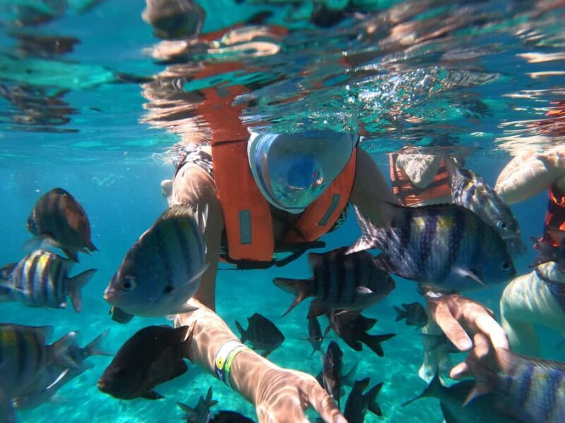 From Cozumel: Invisible Boat tour with Snorkeling - What to Expect from the Invisible Boat Tour