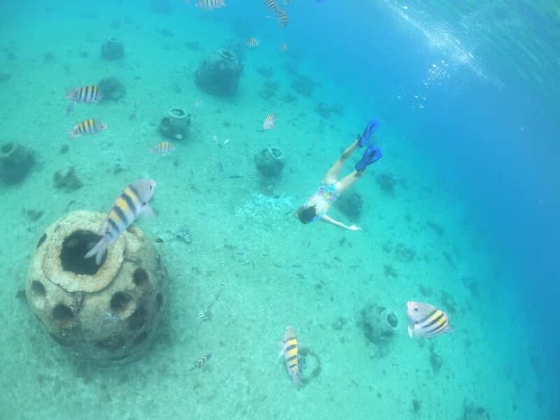 From Cozumel: Invisible Boat tour with Snorkeling - Practical Details and Considerations