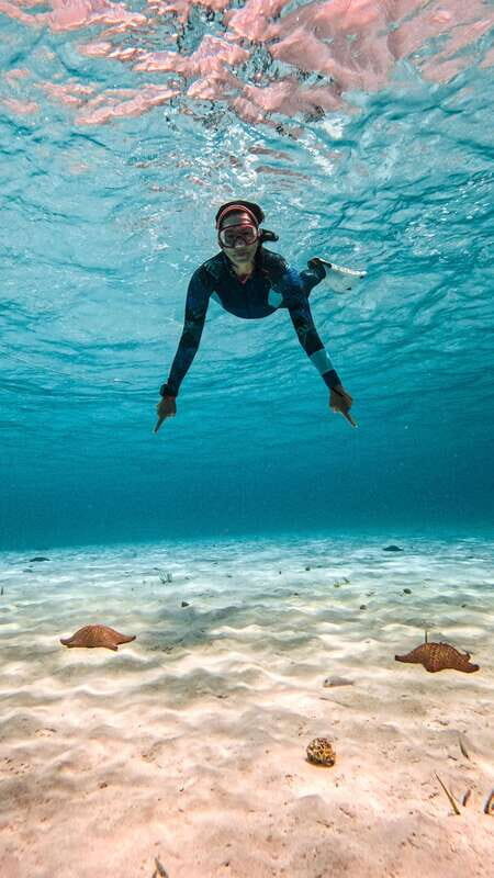 From Cozumel: Snorkel Private Charter to el Cielo & Cielito - Key Points