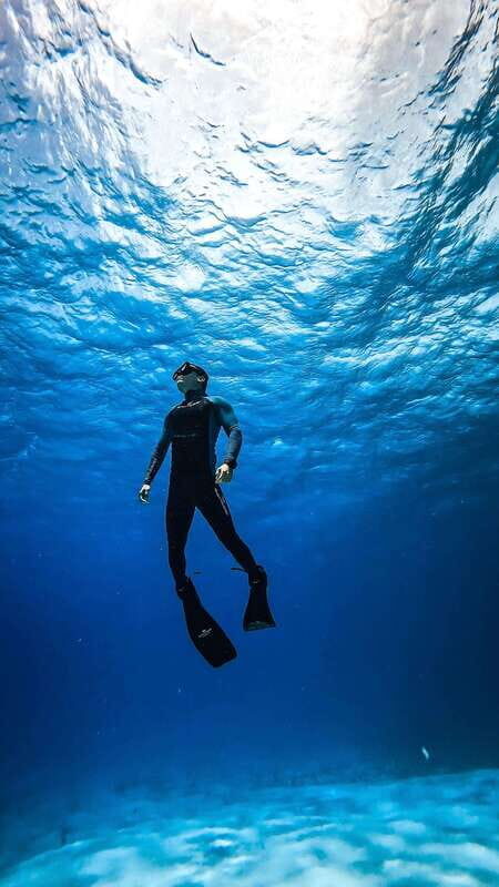 From Cozumel: Snorkel Private Charter to el Cielo & Cielito - El Cielo and Cielito – The Highlights