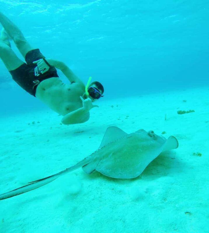 From Cozumel: Starfish, Stingrays & El Cielo Beach Snorkel - Introduction